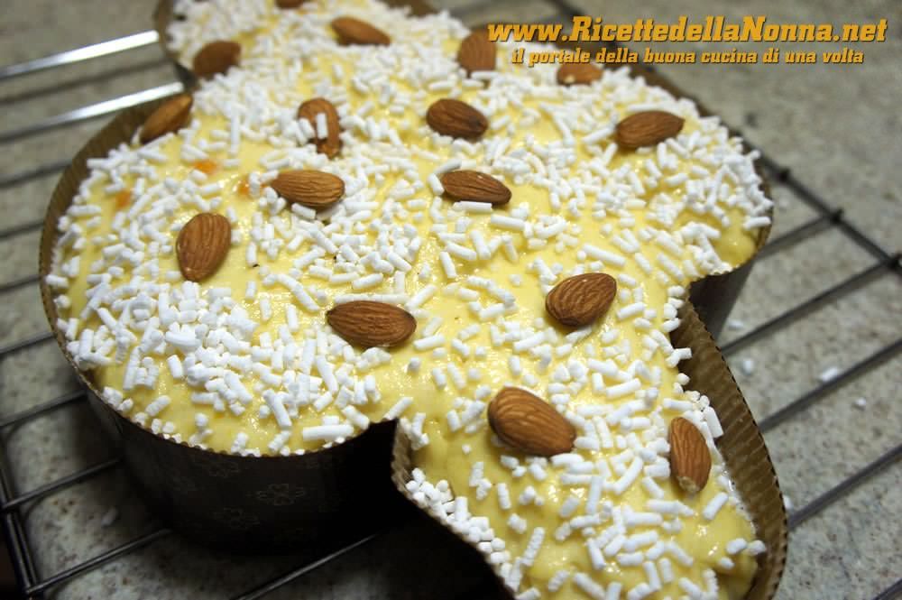 Colomba pasquale – Ricetta Napoletana.com