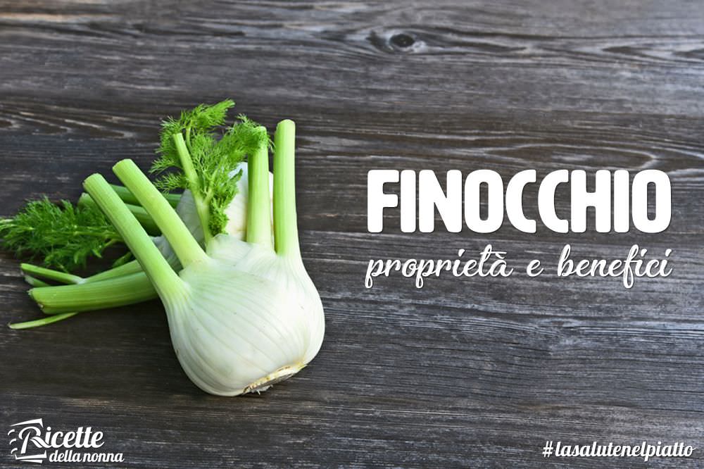 Finocchio: proprietà, benefici e controindicazioni | Ricette della Nonna