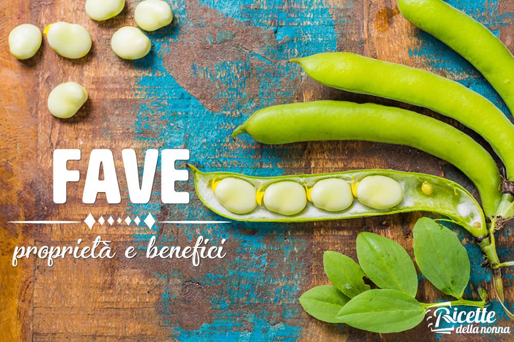Fave: proprietà, benefici e controindicazioni | Ricette della Nonna