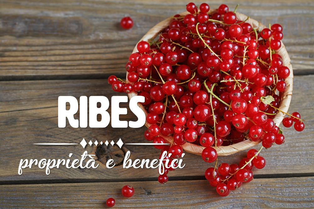 Ribes: proprietà, benefici e controindicazioni | Ricette della Nonna