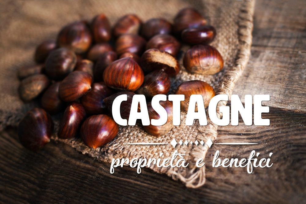 Castagne: proprietà, benefici e controindicazioni | Ricette della Nonna