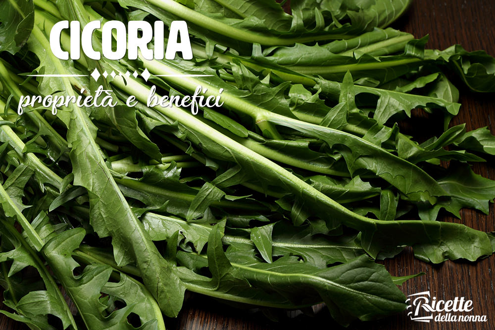 Pianta Di Cicoria