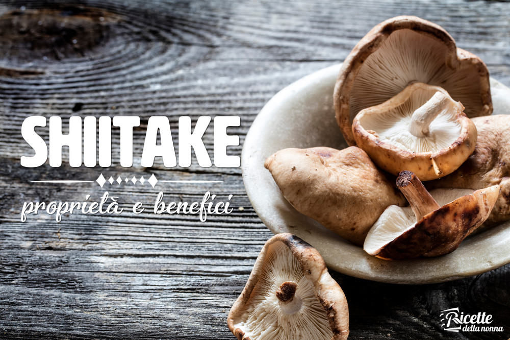 Shiitake: proprietà, benefici e controindicazioni | Ricette della Nonna