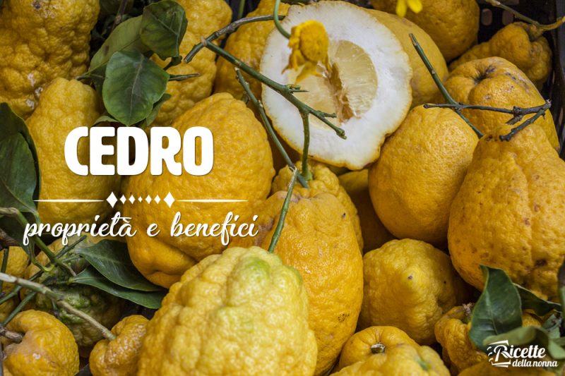 Cedro: proprietà, benefici e controindicazioni | Ricette della Nonna