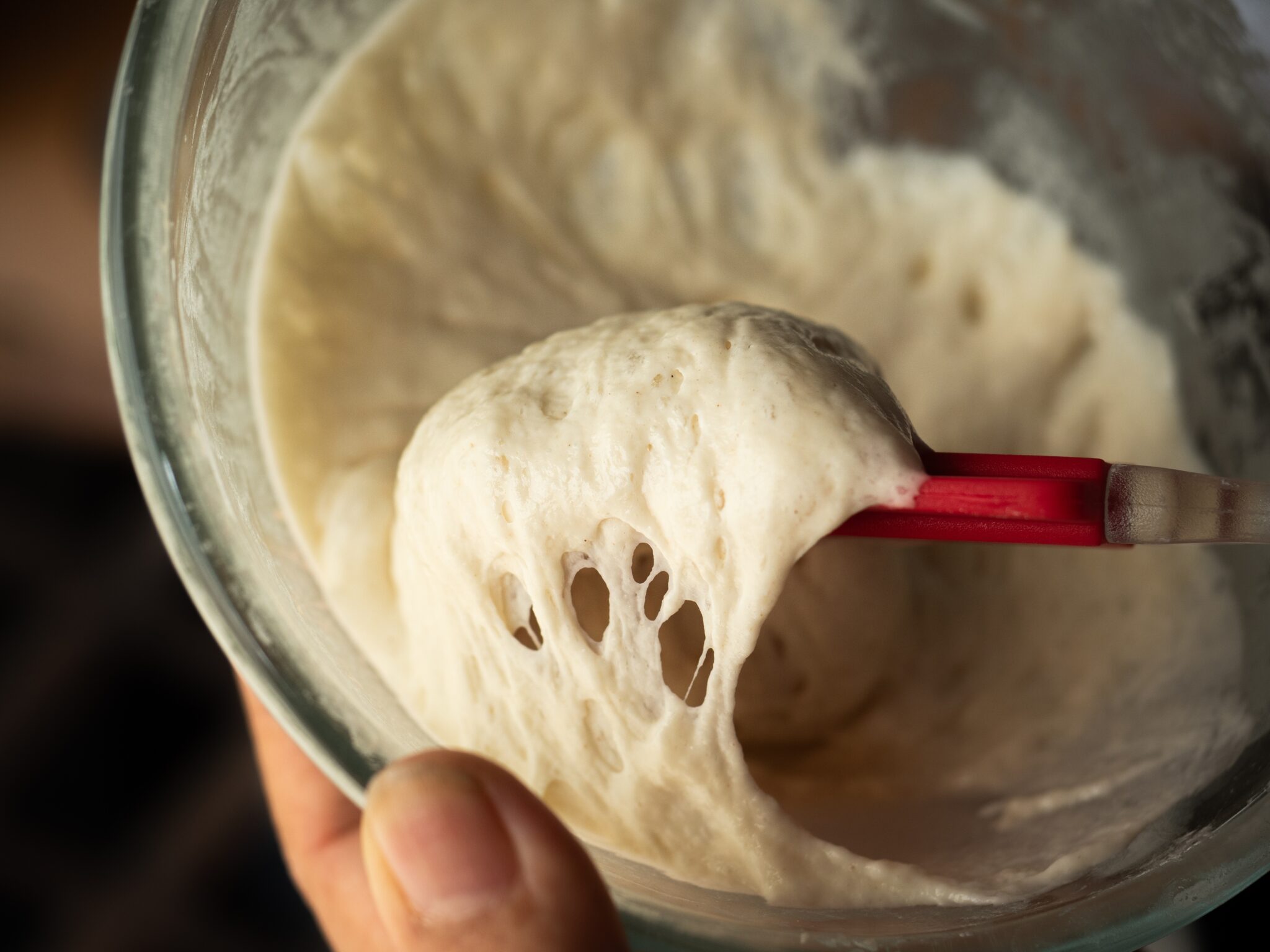 Cos'è il poolish e come si fa | Ricette della Nonna