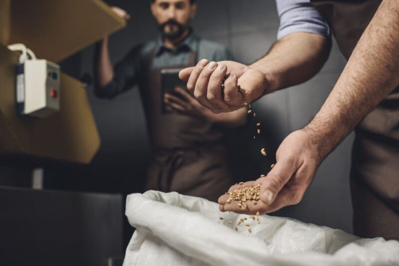 Orzo: proprietà, controindicazioni e origine - tutto quello che DEVI ...